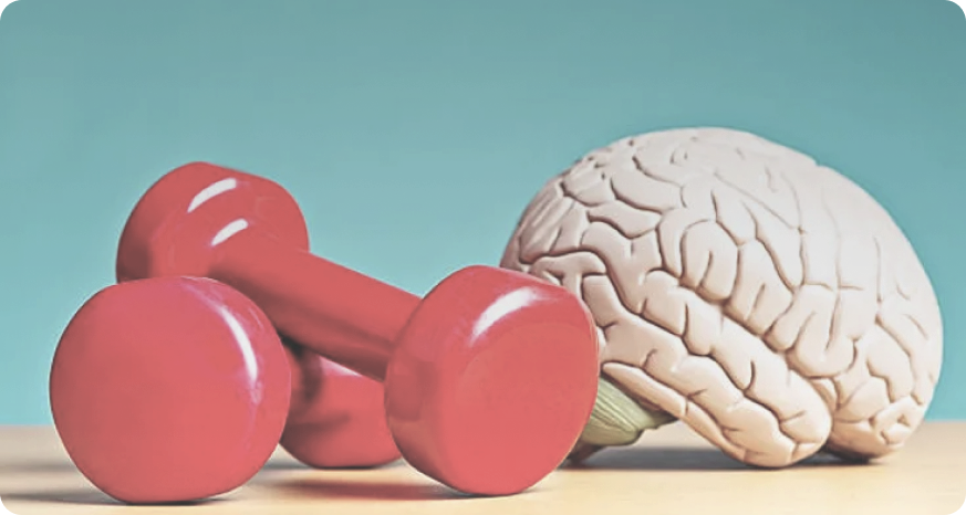 12 Steps to Success: Prioritize Brain Health | Petra Frese