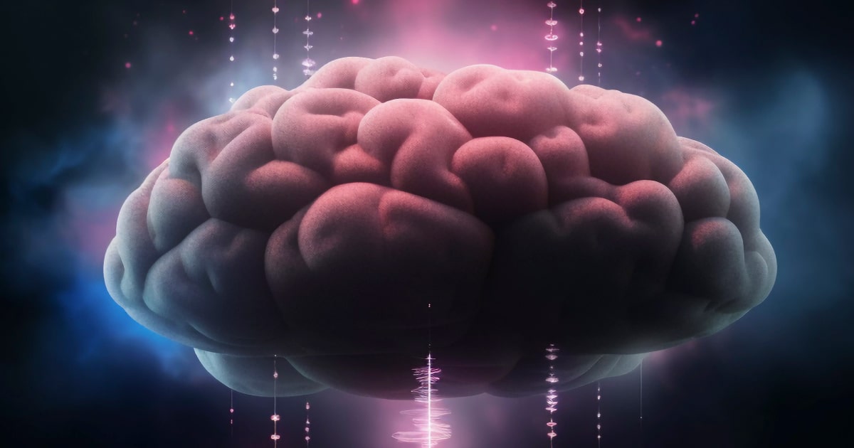 What is Neuro Encoding? The Key to Rewiring Your Mind - Petra